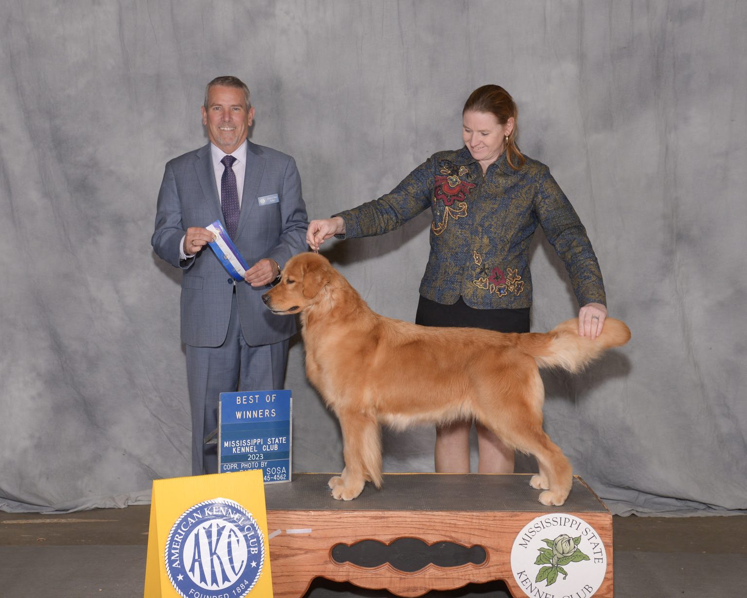 CH Sivado’s Whatcha Name “Puzzle” – Sivado’s Golden Retrievers